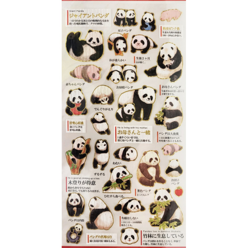 'Panda ecology' Otonano-Zukan Paper stickers