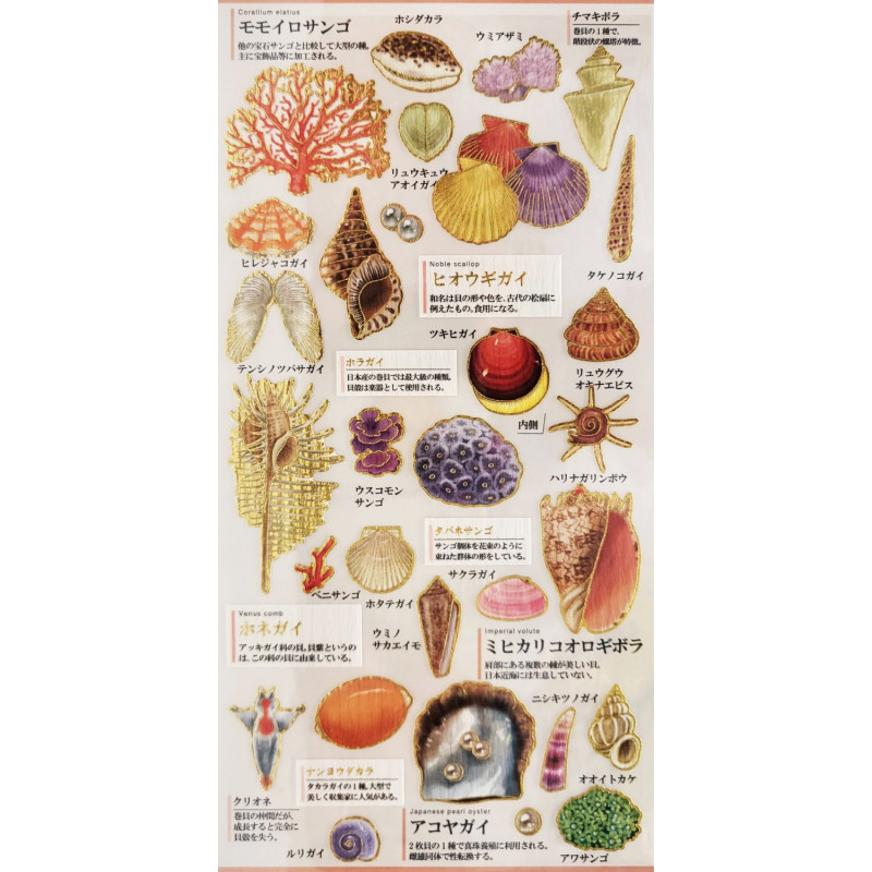 'Shells and Corals' Otonano-Zukan Paper stickers